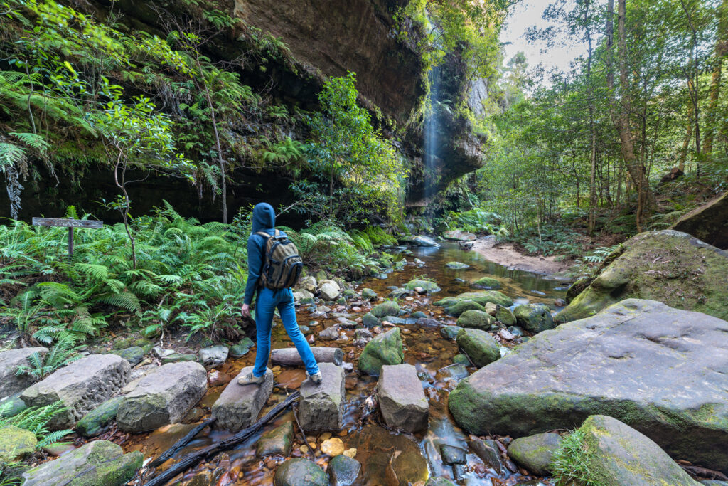 Five steps on the path to effective parks management | IPWEA